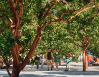 China Basin Park: A New Public Realm - ASLA Northern California Chapter