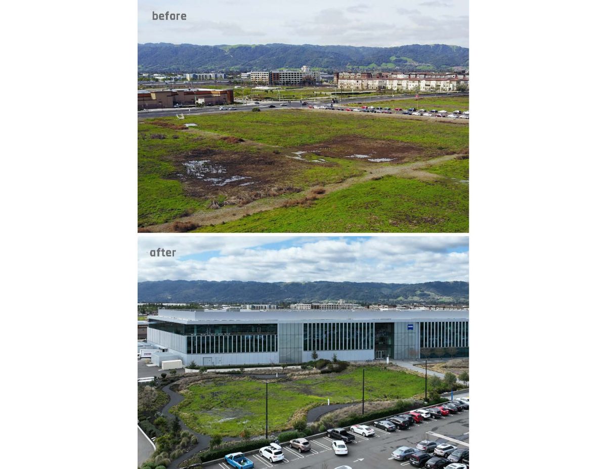 Force Field: Ecological Park shaped from Wind, Water, Motion & Science ...