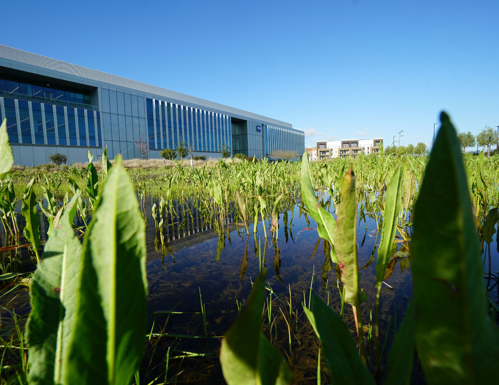 Force Field: Ecological Park shaped from Wind, Water, Motion & Science ...
