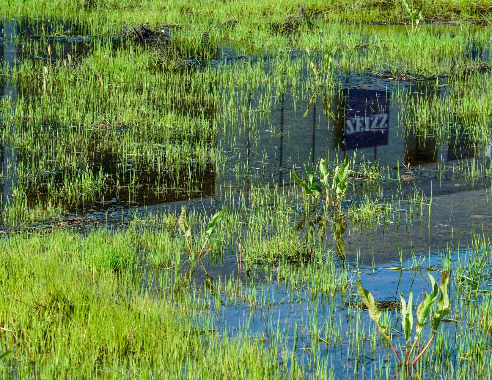 Force Field: Ecological Park shaped from Wind, Water, Motion & Science ...
