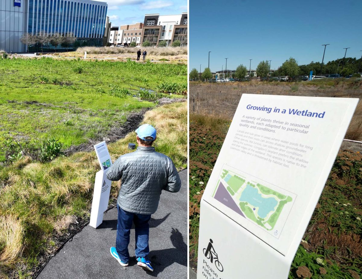 Force Field: Ecological Park shaped from Wind, Water, Motion & Science ...