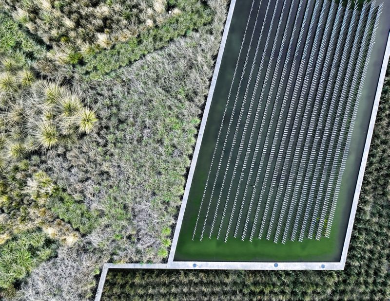 Force Field: Ecological Park shaped from Wind, Water, Motion & Science ...
