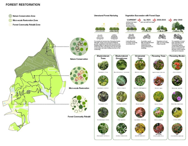 Leetow Mountain Ecology Restoration & Recreation Planning - ASLA ...