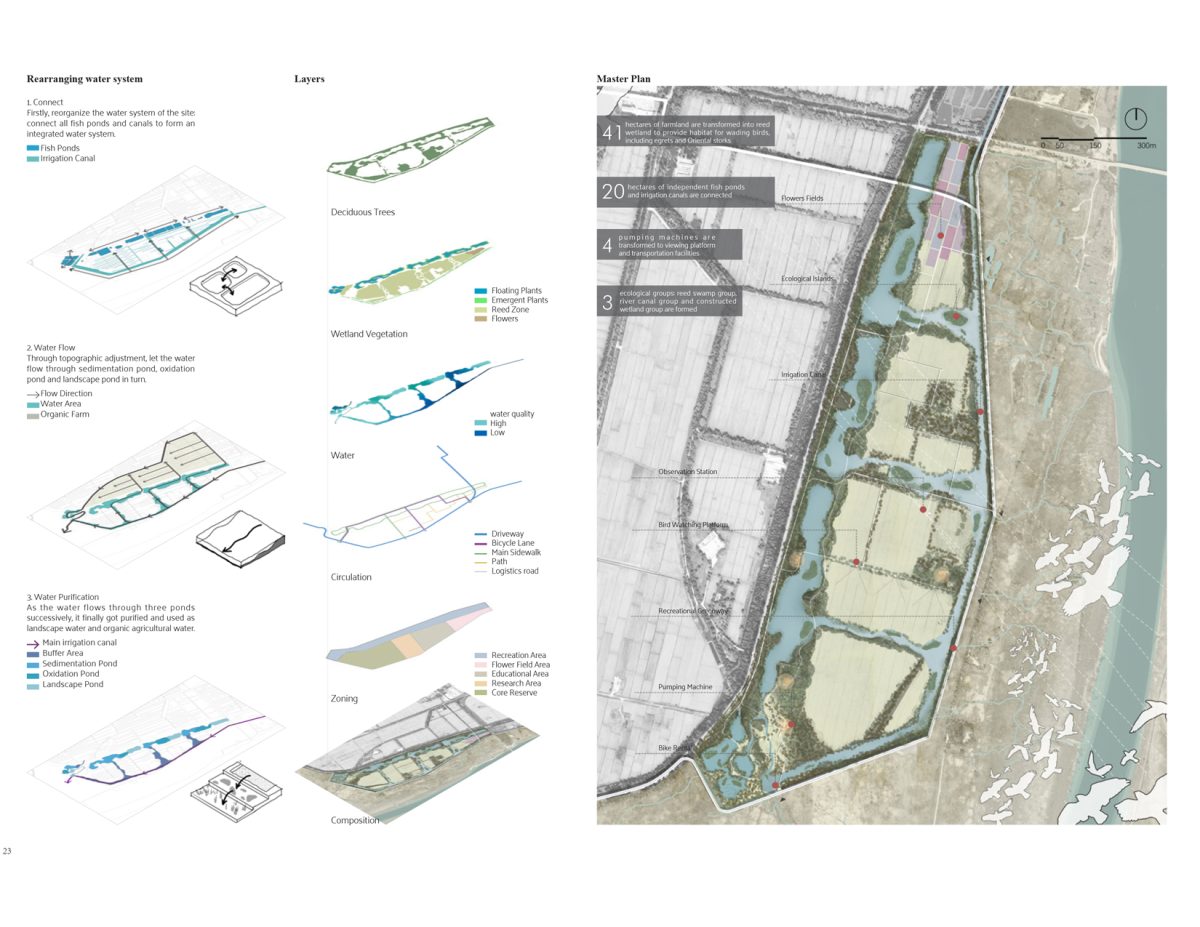 Recovered Wetland - ASLA Northern California Chapter