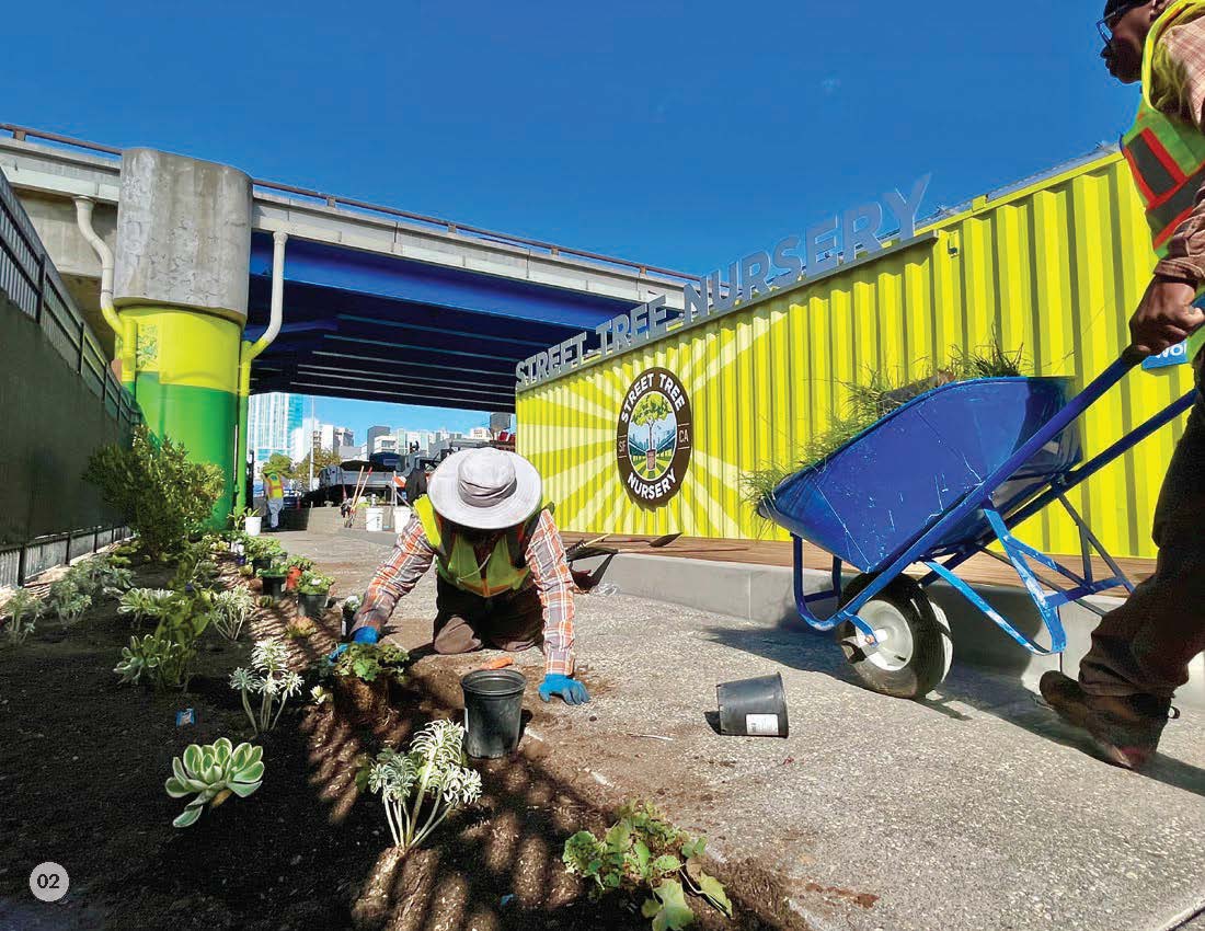 San Francisco Street Tree Nursery - ASLA Northern California Chapter