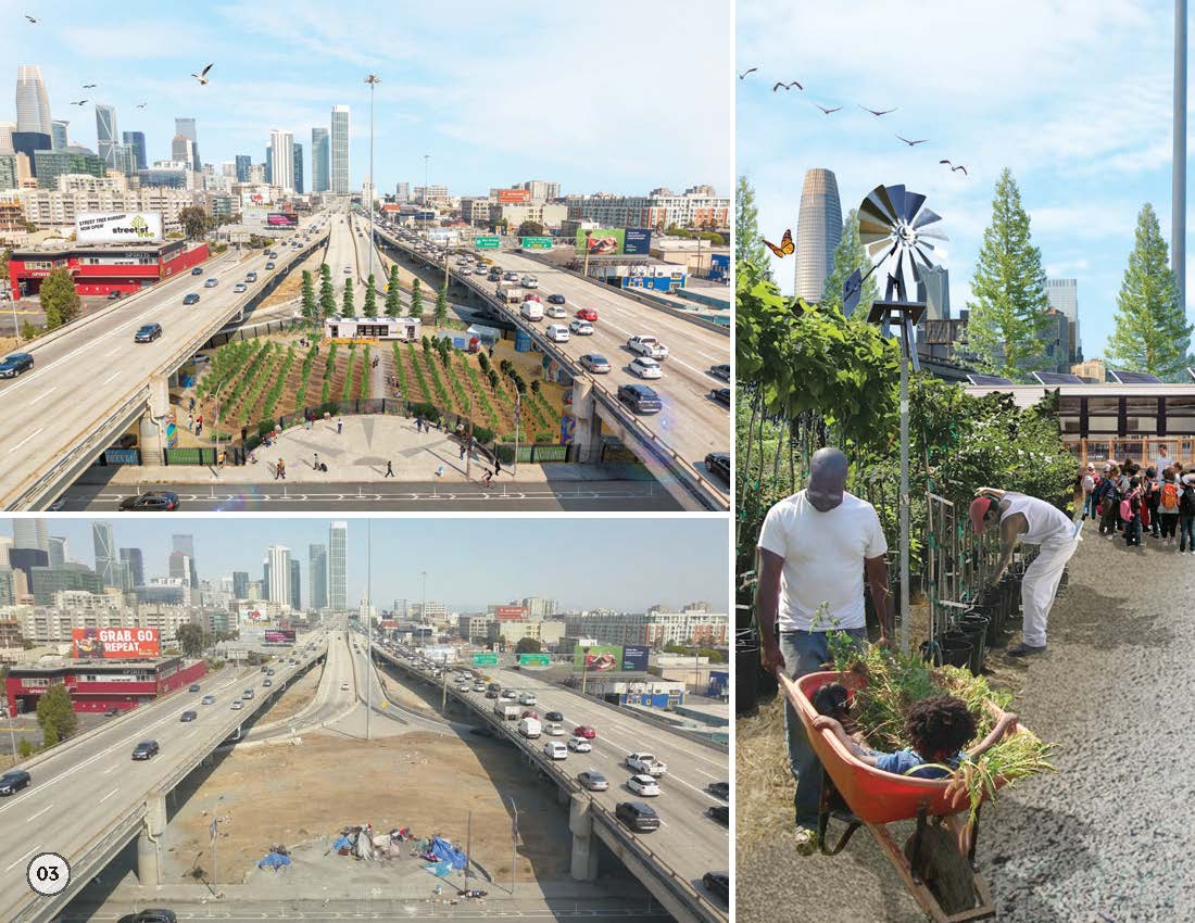 San Francisco Street Tree Nursery - ASLA Northern California Chapter