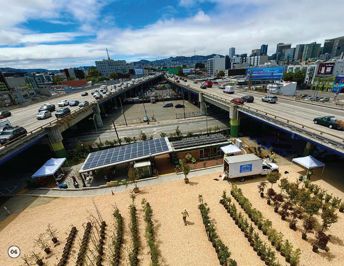 San Francisco Street Tree Nursery - ASLA Northern California Chapter