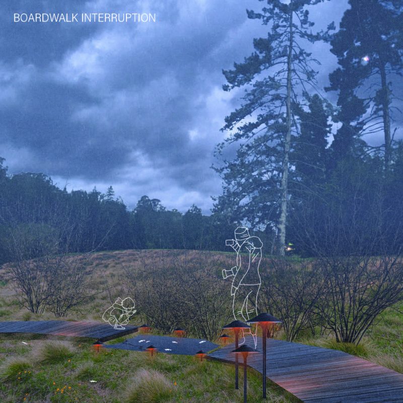The Big Night: Honoring Taricha Torosa's Seasonal Migration in Tilden ...