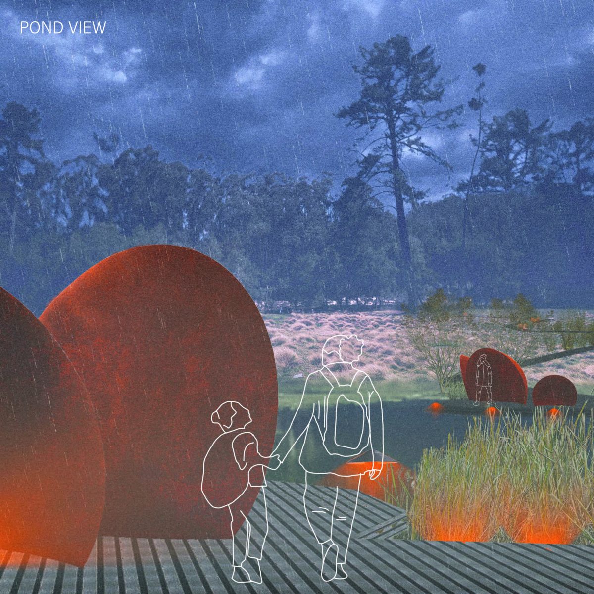 The Big Night: Honoring Taricha Torosa's Seasonal Migration in Tilden ...